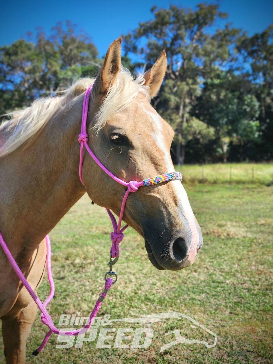 Stable & Grooming – Bling and Speed